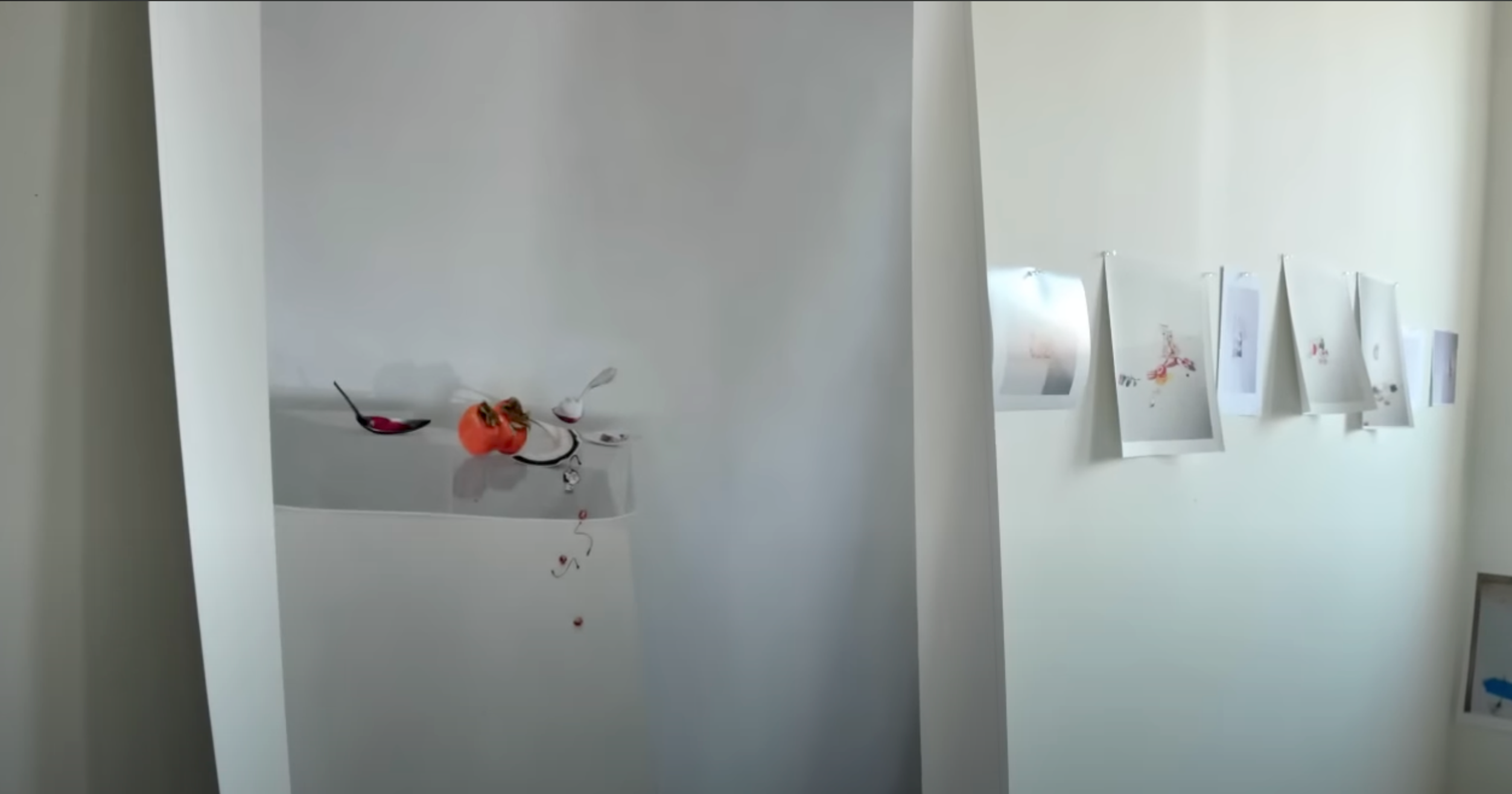 Laura Letinsky: Inspiration (Part of FEAST Festival) – molosco